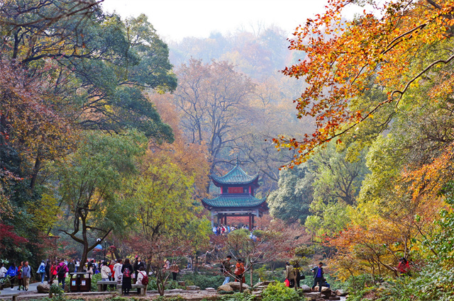 Aiwan Pavilion-Hunan Government Website International-enghunan.gov.cn