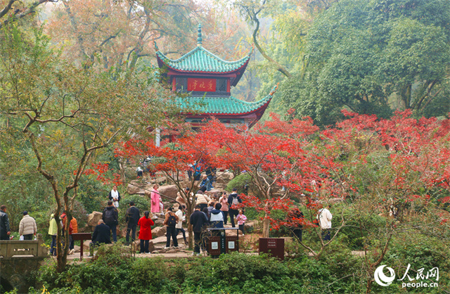 Aiwan Pavilion-Hunan Government Website International-enghunan.gov.cn